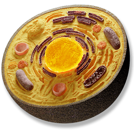 Bio-Techne - Where Science Intersects Innovation