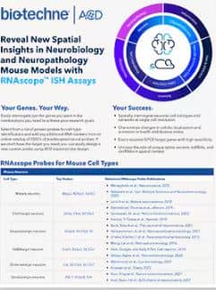 Reveal New Spatial Insights in Neurobiology Models with RNAscope™ ISH ...