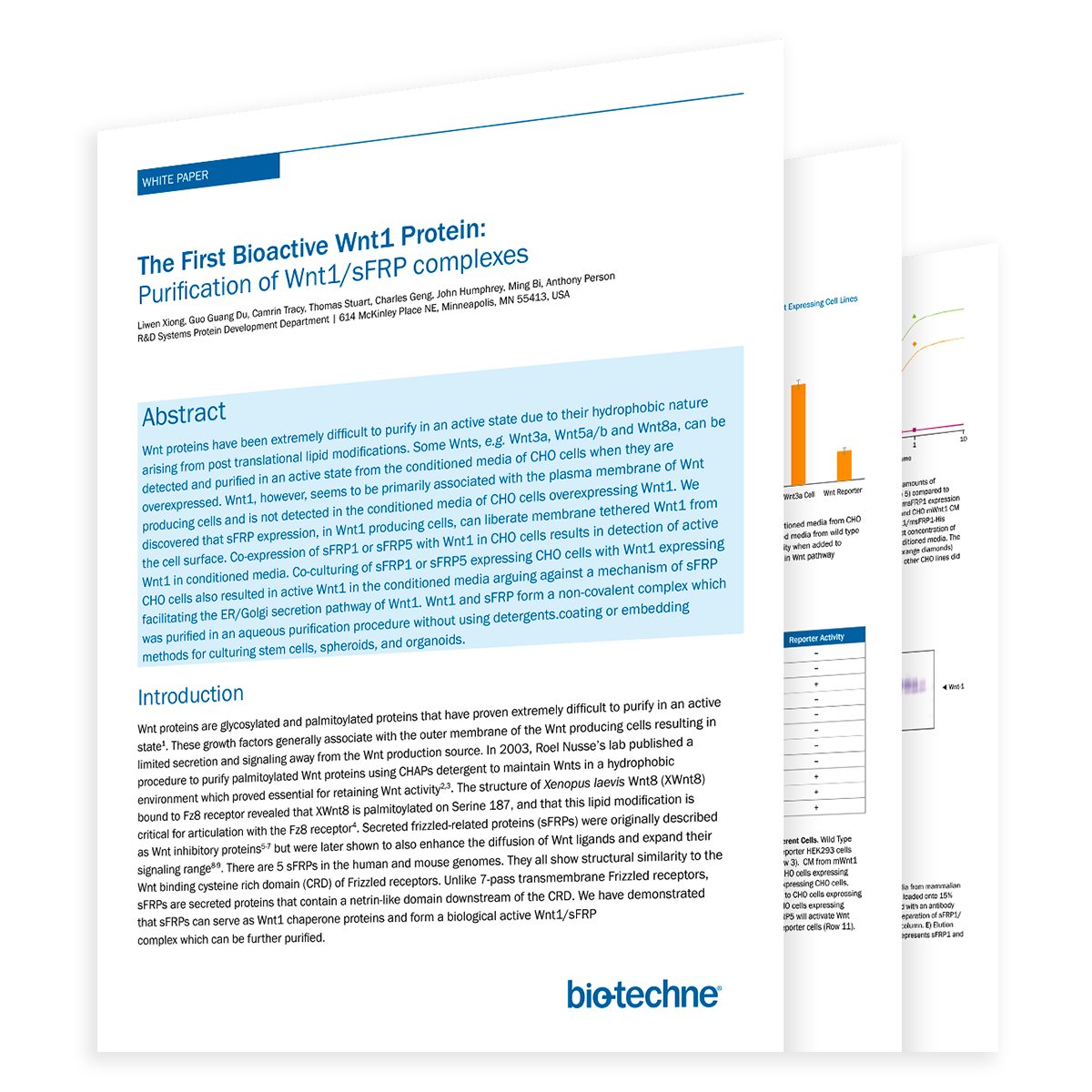 Purification of the First Bioactive Wnt1 Protein | Bio-Techne