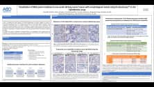 BaseScope™ to detect point mutations poster| Bio-Techne