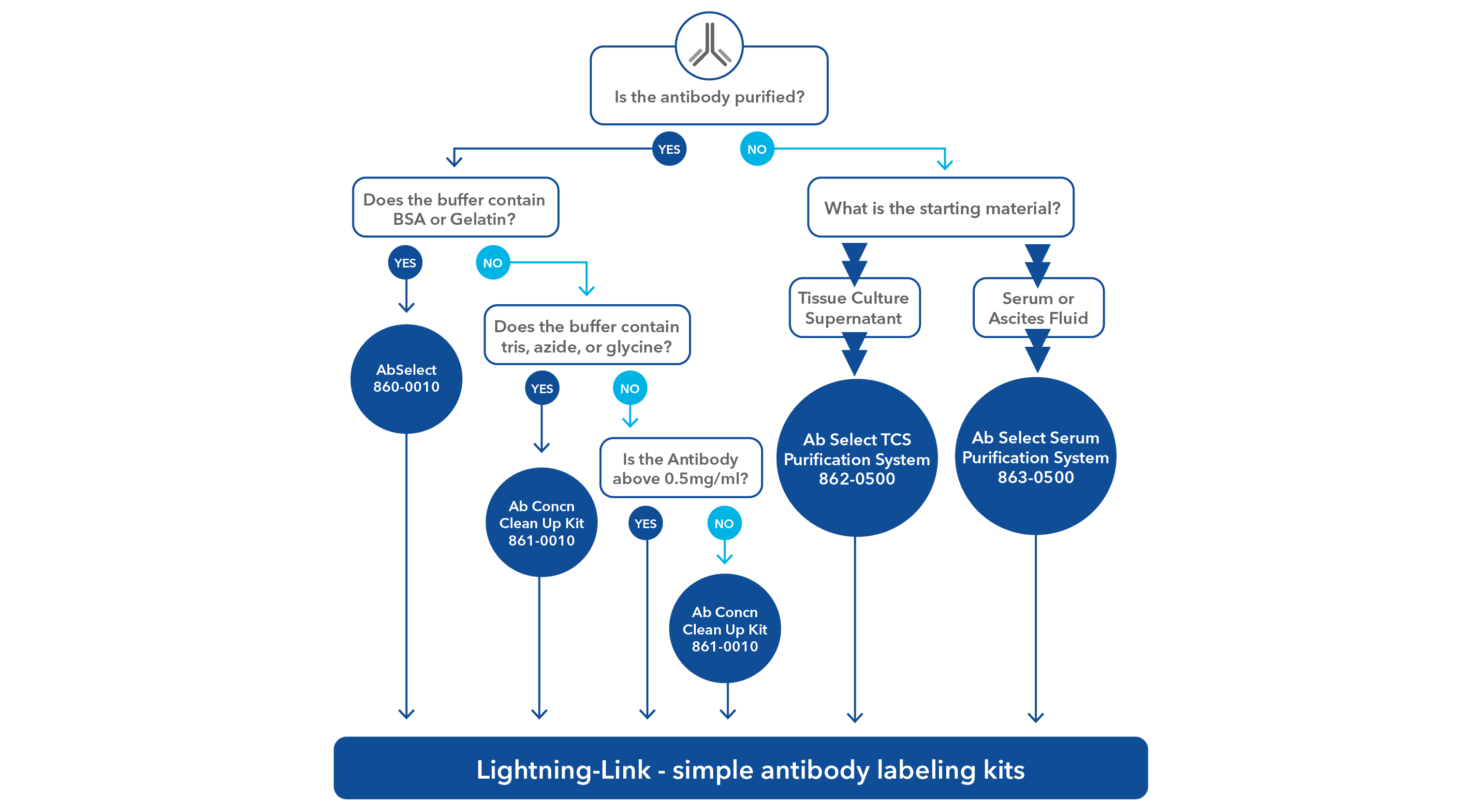 Lightning-Link Antibody Labeling Kits