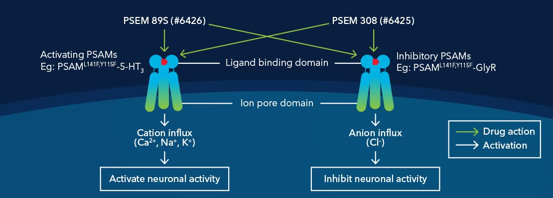 Chemogenetics | Bio-Techne