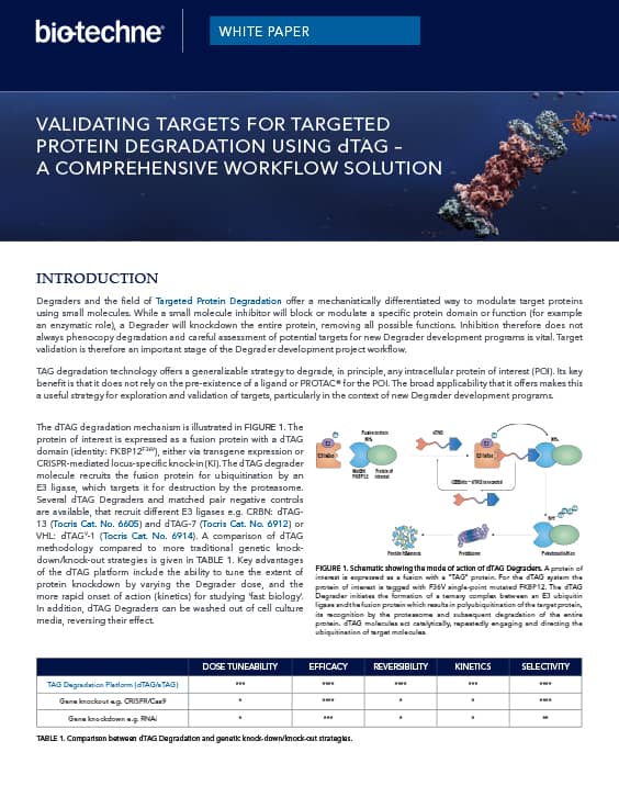 Validating Targets for Targeted Protein Degradation using dTAG | Bio-Techne