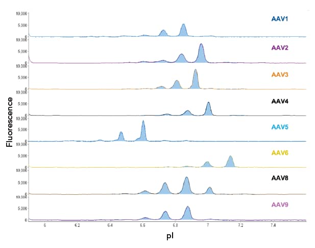 Analytical Solutions for AAV Vector Characterization | Bio-Techne