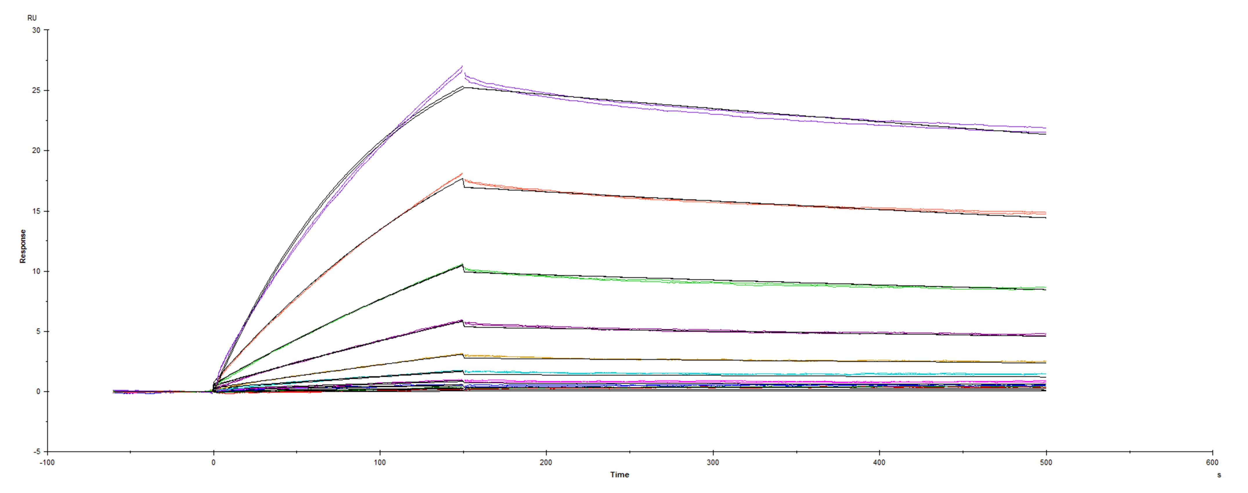 Recombinant SARS-CoV-2 D614G Spike His-tag, Protein CF (10620-CV) by R ...