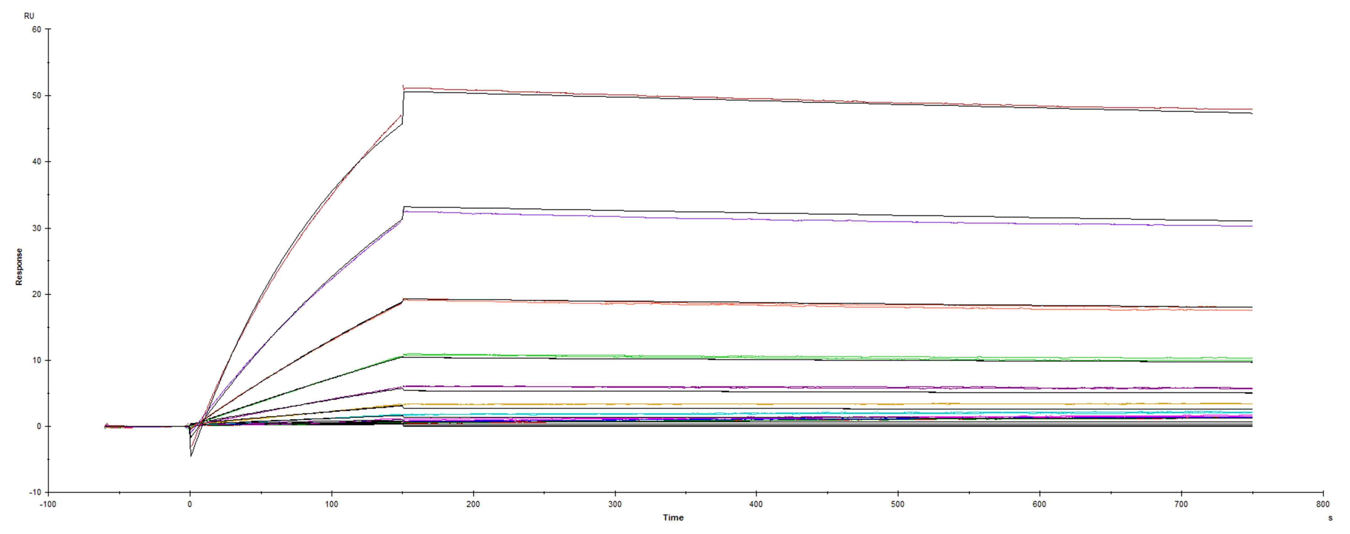 Recombinant SARS-CoV-2 B.1.1.7 Spike GCN4-IZ His Protein, CF (10796-CV) by R&D Systems, Part of ...