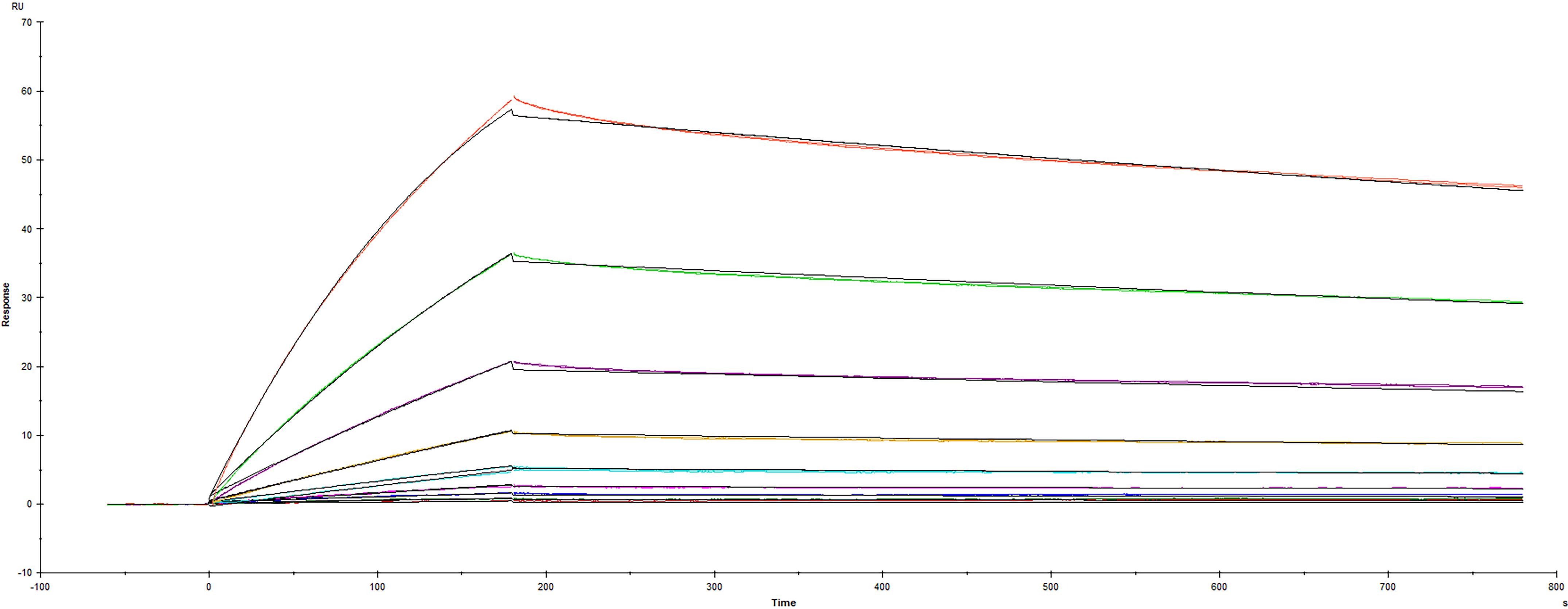 Recombinant SARS-CoV-2 V445A Spike RBD His-tag Protein, CF (10819-CV ...
