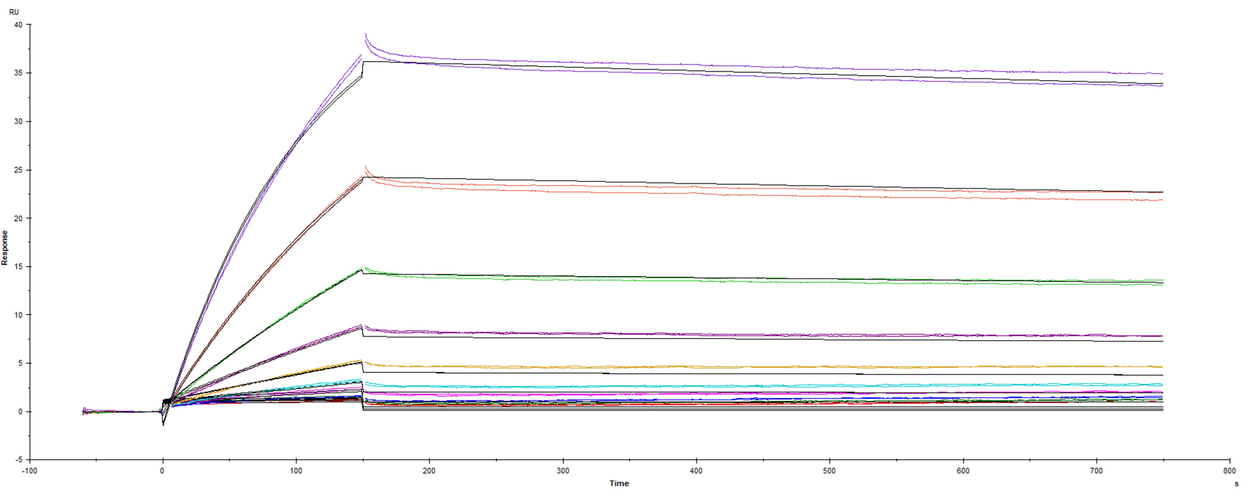 Recombinant SARS-CoV-2 +E484K B.1.1.7 Spike GCN4-IZ Protein (10824-CV) by R&D Systems, Part of ...