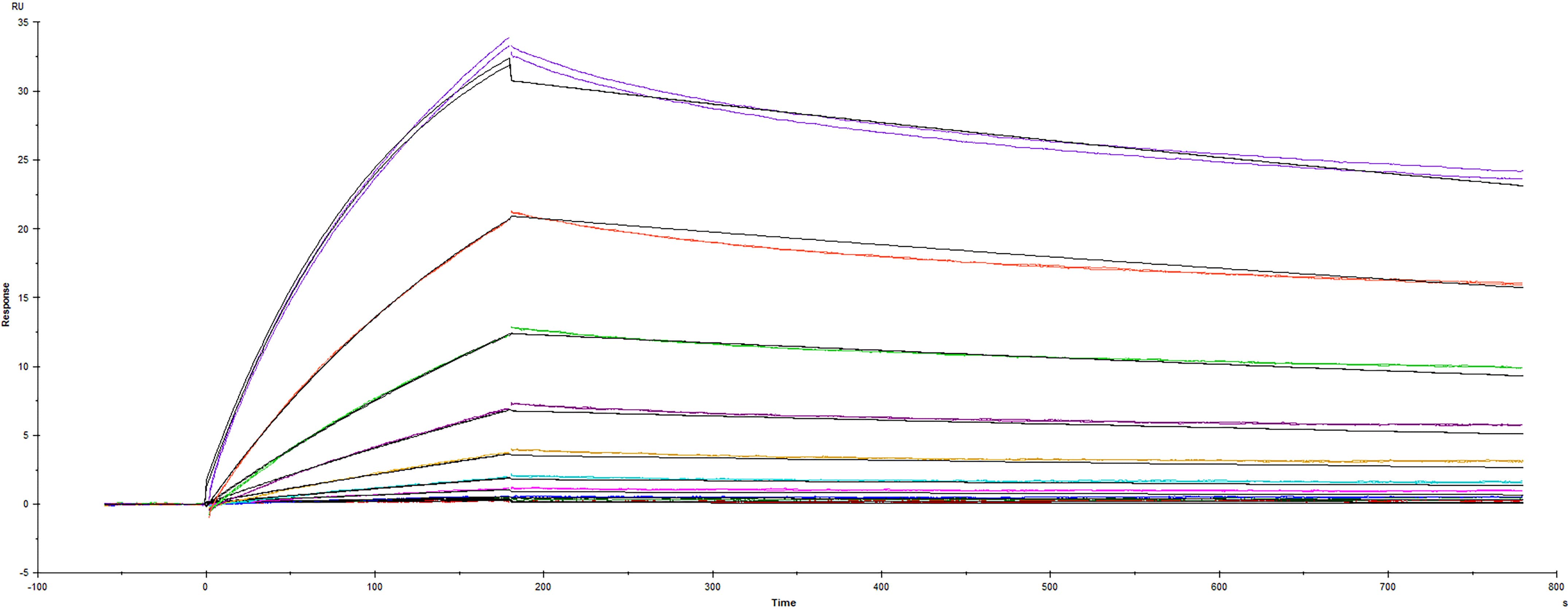 Recombinant SARS-CoV-2 B.1.617.2 Spike RBD Fc Protein, CF (10901-CV) by R&D Systems, Part of Bio ...
