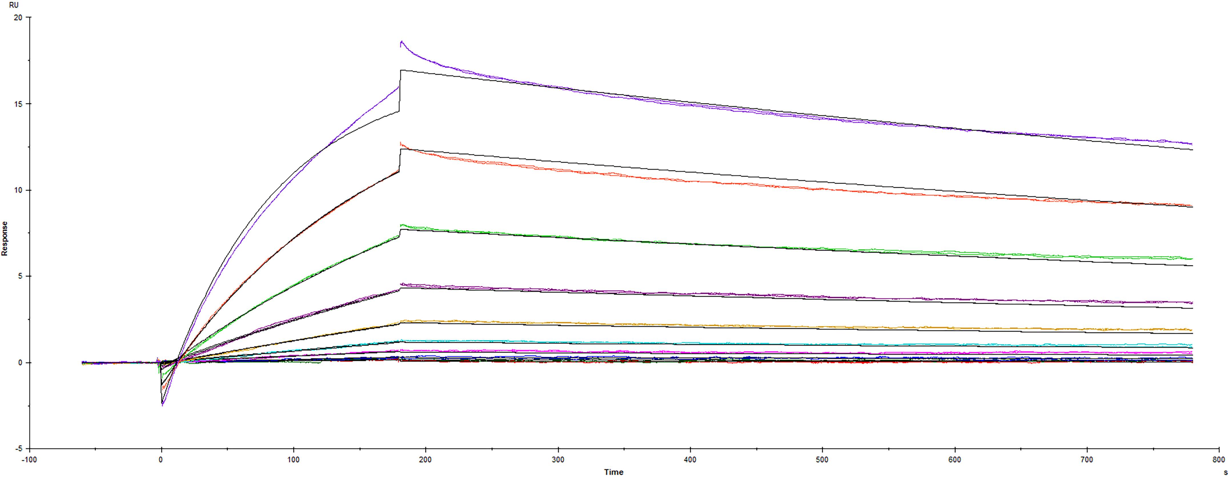 Recombinant SARS-CoV-2 B.1.620 Spike RBD His-tag Protein, CF (10907-CV ...