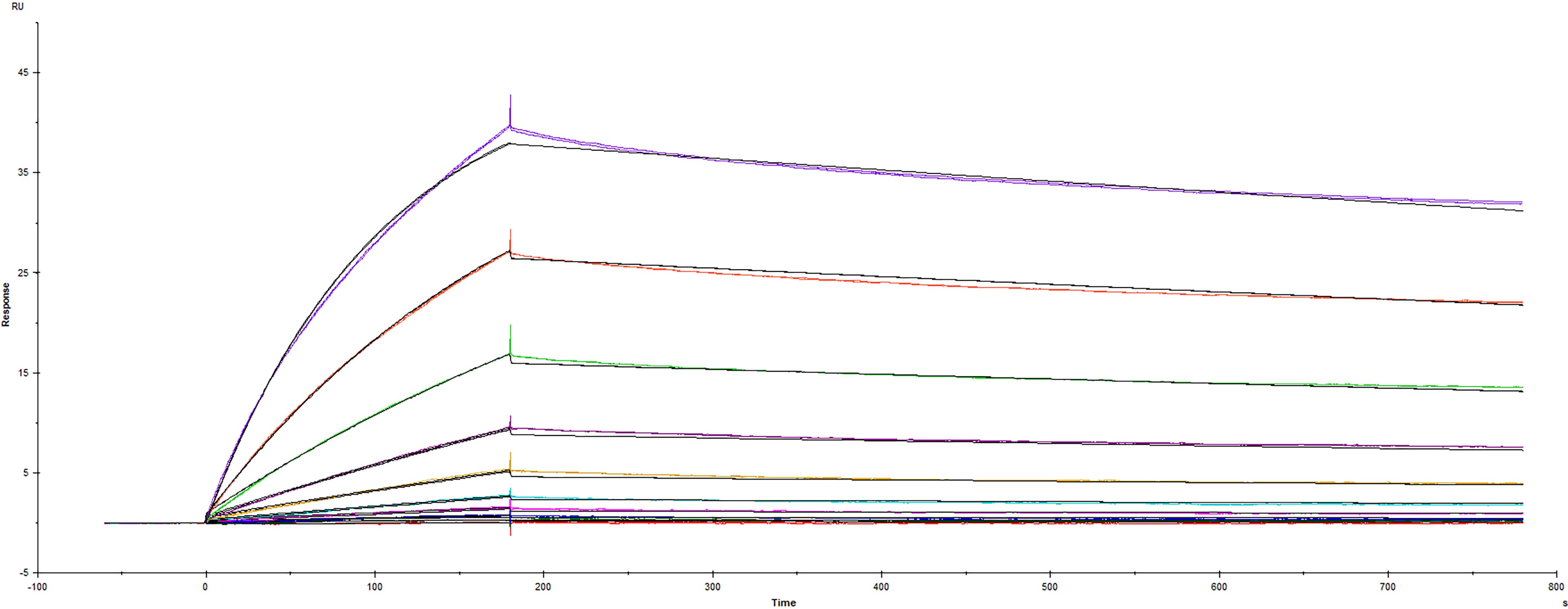 Recombinant SARS-CoV-2 B.1.1.529 S RBD Fc Protein, CF (11057-CV) by R&D Systems, Part of Bio-Techne