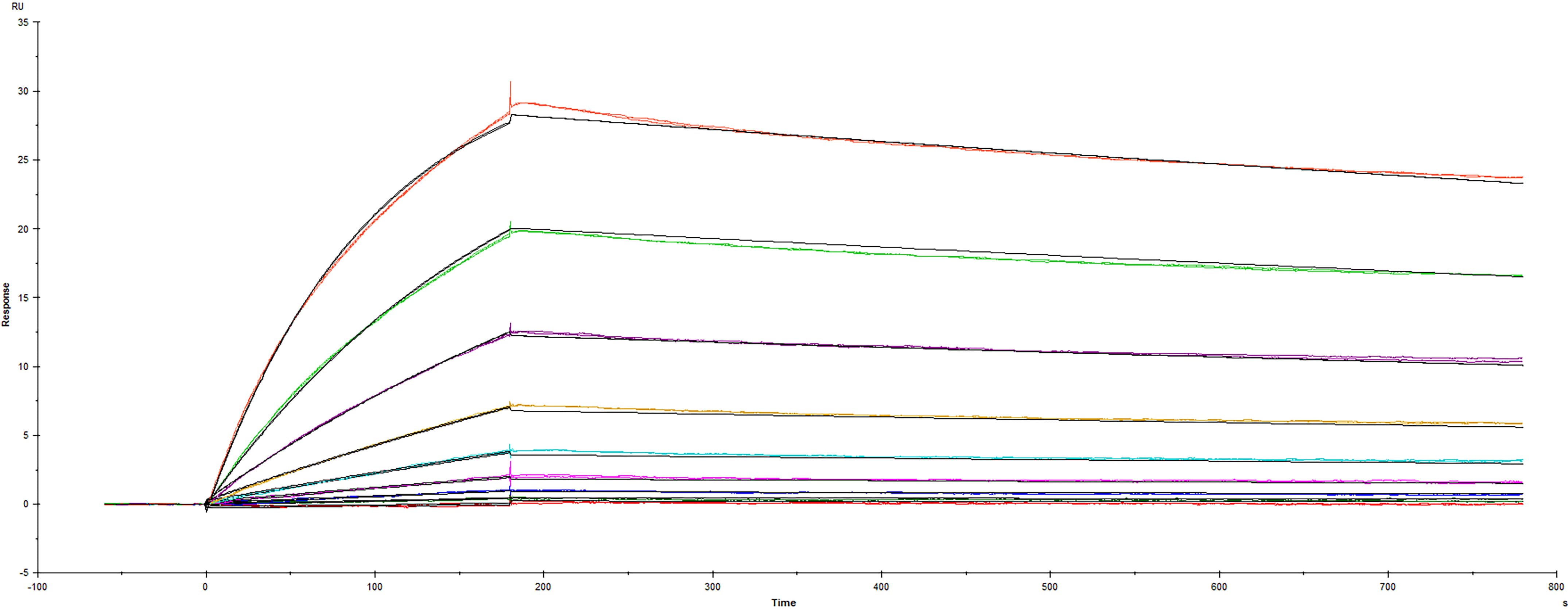 Recombinant SARS-CoV-2 B.1.1.529 S (GCN4-IZ) His Protein, CF (11061-CV) by R&D Systems, Part of ...