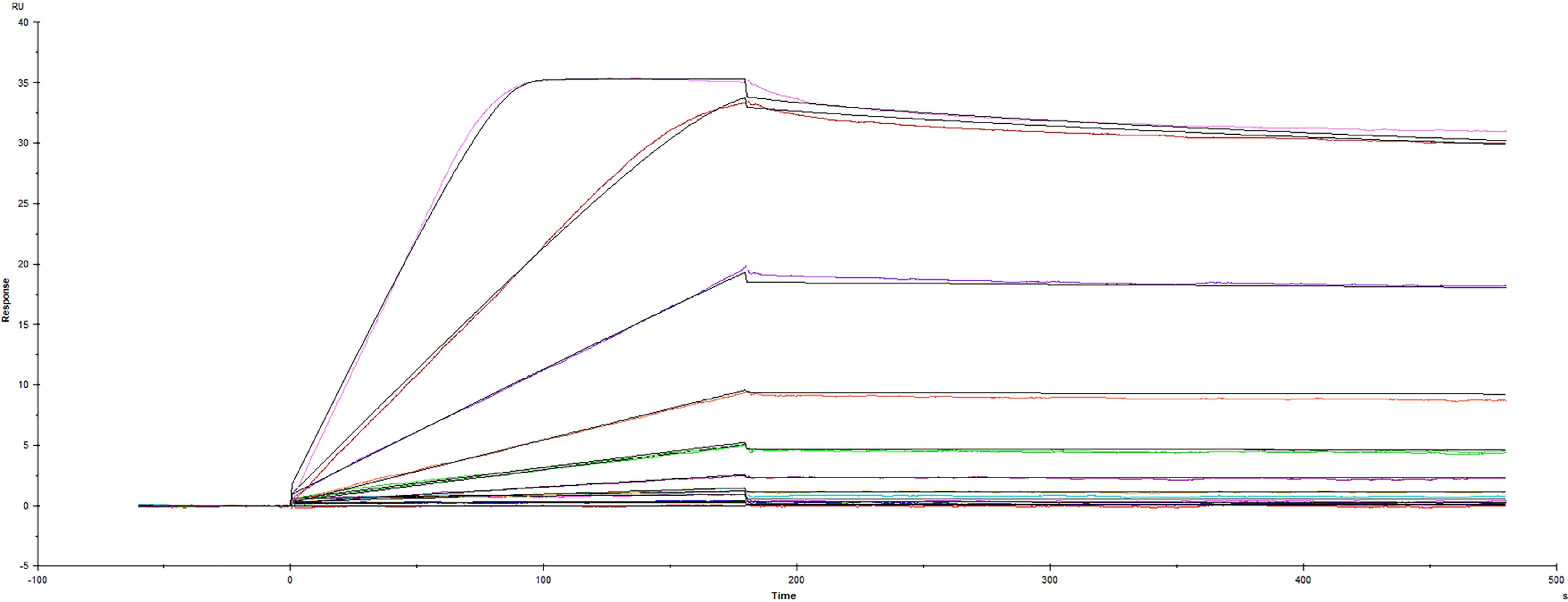 Recombinant Human Tgf Beta 1 Cho Expressed Protein Cf 11409 Bh By Randd Systems Part Of Bio