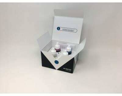Alcian Blue (pH 2.5) Stain Kit (H-3501-NB) by Novus, Part of Bio-Techne