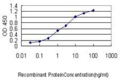 CENPM Antibody (4C12-2C8) (H00079019-M01) | Bio-Techne