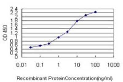 CRTAP Antibody (4D9) - Azide and BSA Free (H00010491-M01) by Novus ...