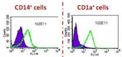 DC-SIGN/CD209 Antibody (102E11.06) - Azide and BSA Free (DDX0202P-100) by Novus, Part of Bio-Techne
