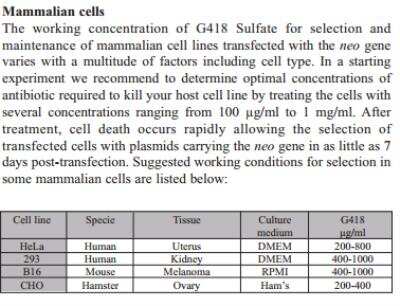 G418 Inhibitor (NBP2-32805) by Novus, Part of Bio-Techne