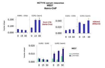 MED7 Antibody (NBP1-98339) | Bio-Techne