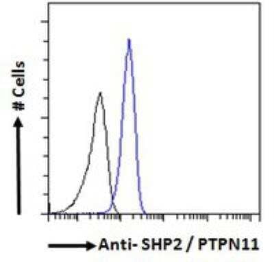 SHP-2/PTPN11 Antibody (NB100-806) by Novus, Part of Bio-Techne