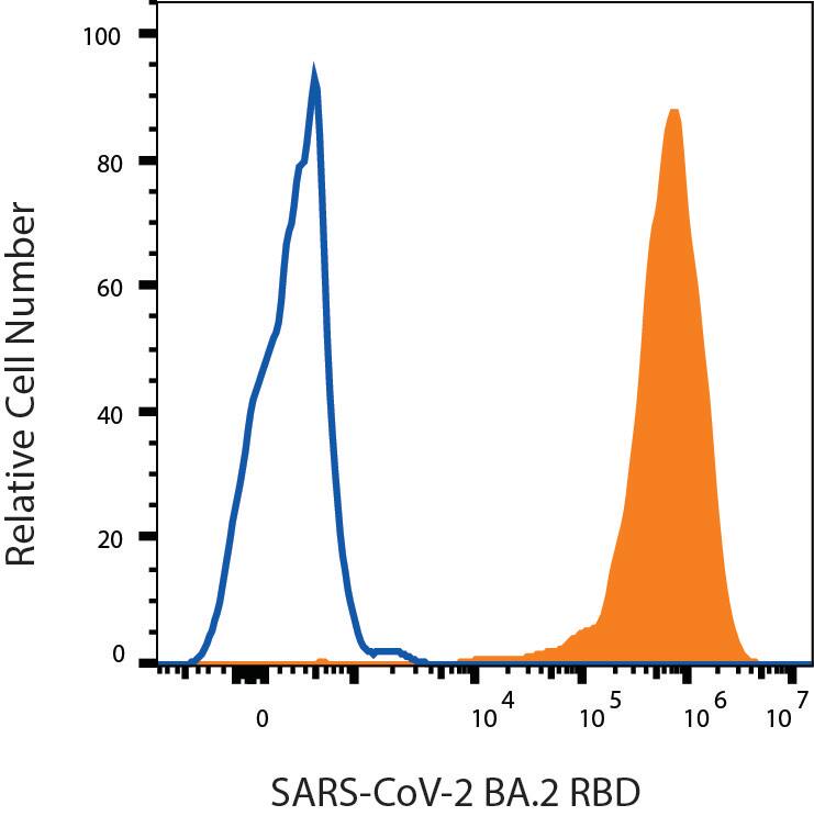 Recombinant SARS-CoV-2 BA.2 RBD His Alexa Fluor® 647 Protein (AFR11094) by R&D Systems, Part of ...