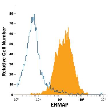 Human ERMAP PE‑conjugated Antibody (FAB49281P) | Bio-Techne