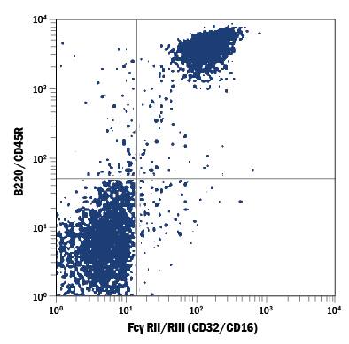 Mouse Fc gamma RII/RIII (CD32/CD16) Fluorescein-conjugated Antibody ...