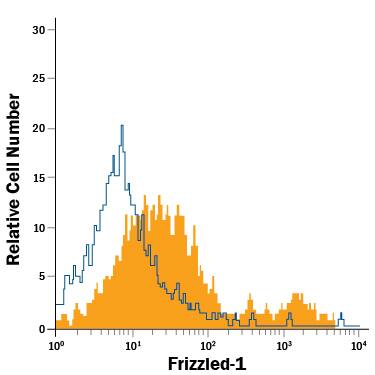 Human/Mouse Frizzled‑1 Fluorescein‑conjugated Antibody (FAB11201F ...
