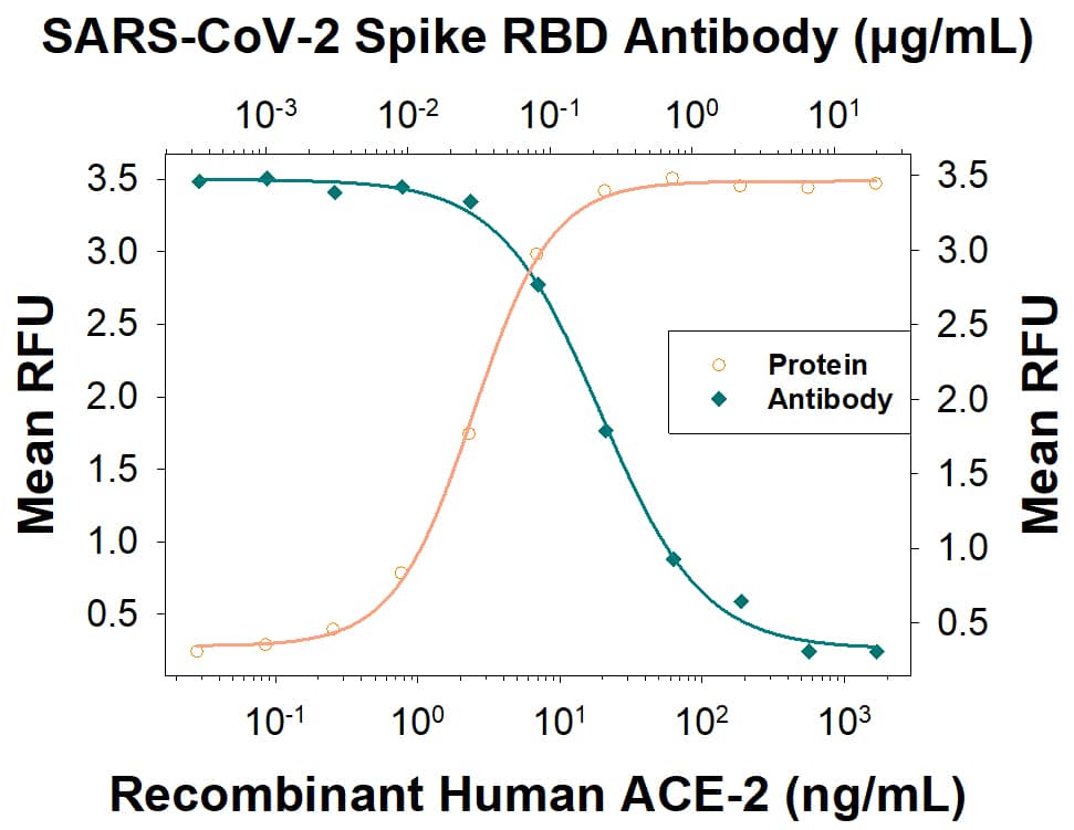 SARS-CoV-2 Spike RBD Antibody (MAB11290) by R&D Systems, Part of Bio-Techne