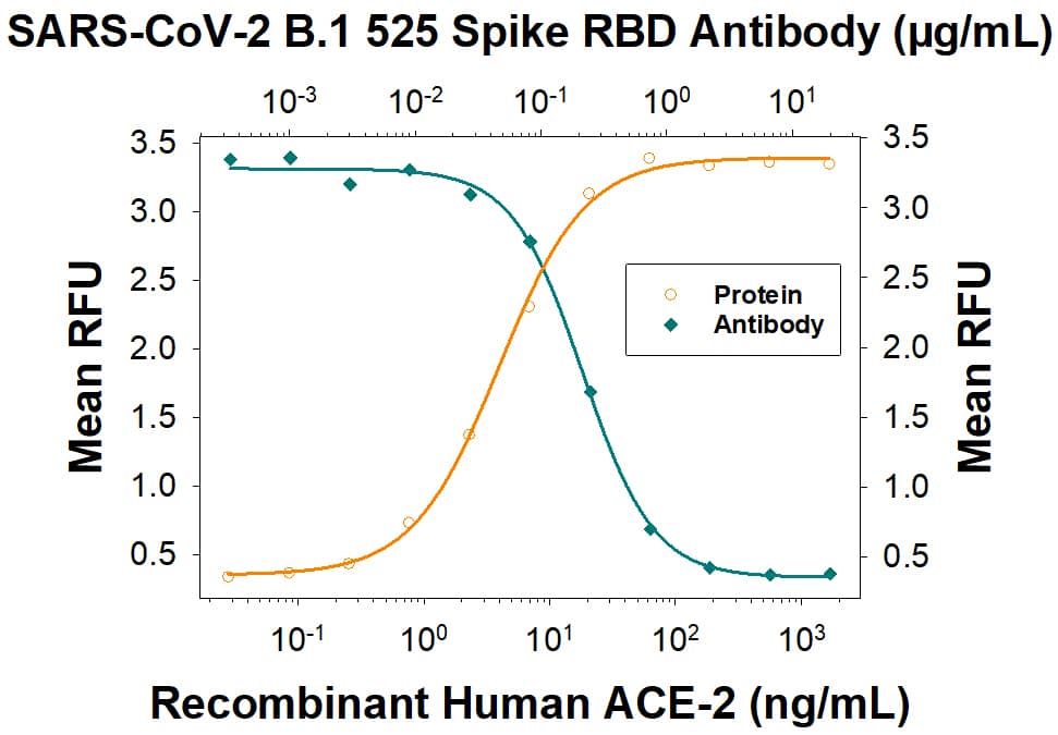 SARS-CoV-2 Spike RBD Antibody (MAB11292) by R&D Systems, Part of Bio-Techne