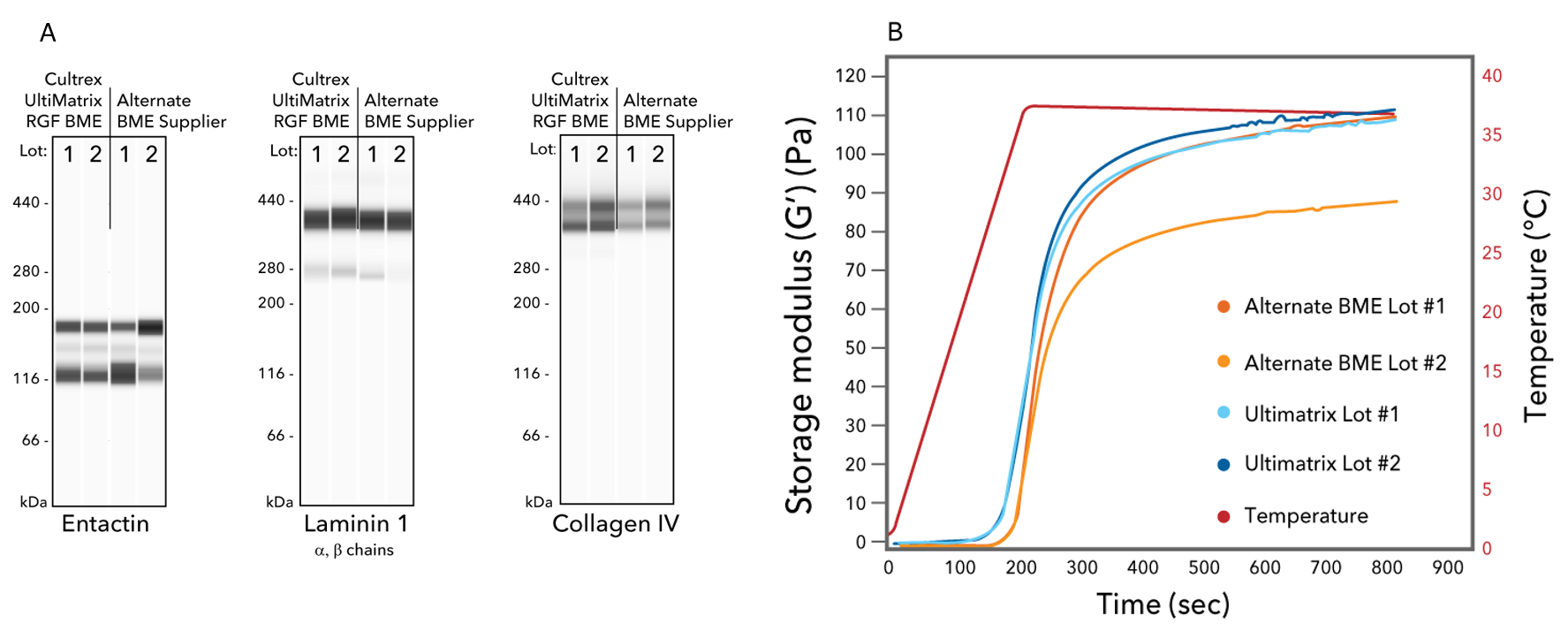 Cultrex UltiMatrix Reduced Growth Factor Basement Membrane Extract ...