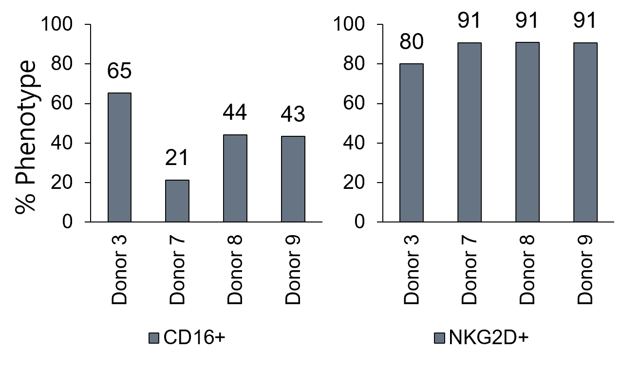 ExCellerate™ Human NK Cell Expansion Media, Animal Component-Free ...