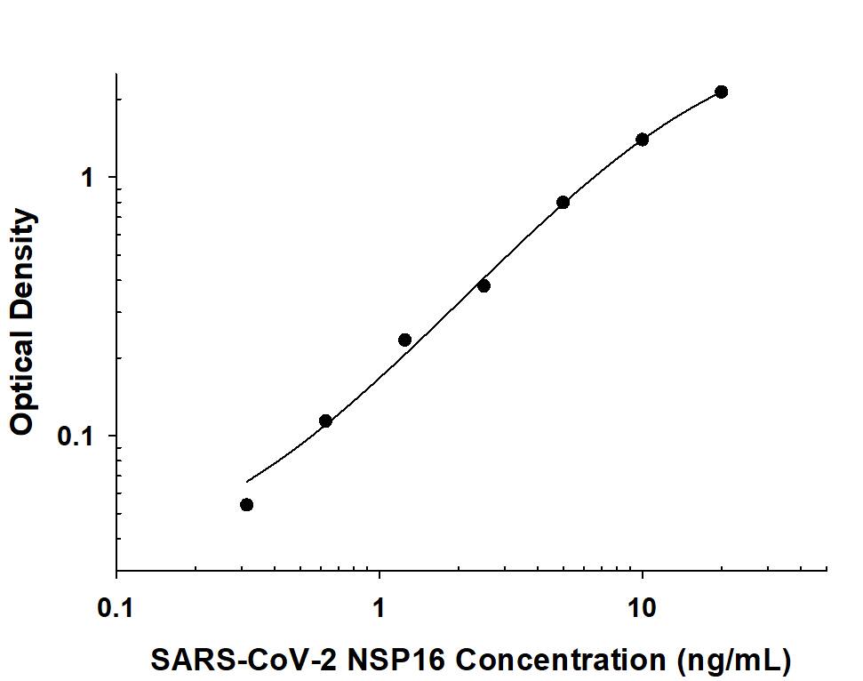 SARS-CoV-2 NSP16/NSP10 His-tag Complex Antibody (MAB10941) | Bio-Techne