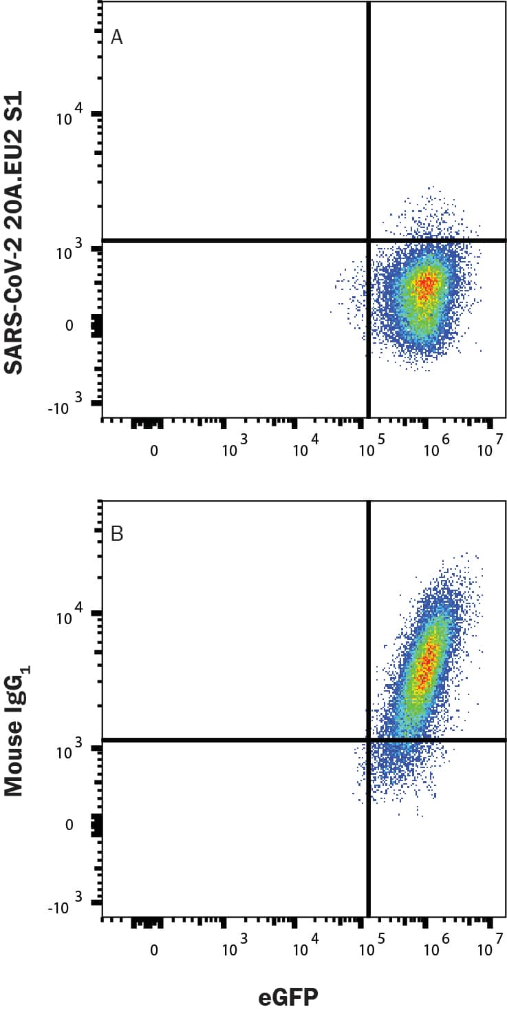 SARS-CoV-2 Spike RBD Antibody (MAB11294) by R&D Systems, Part of Bio-Techne
