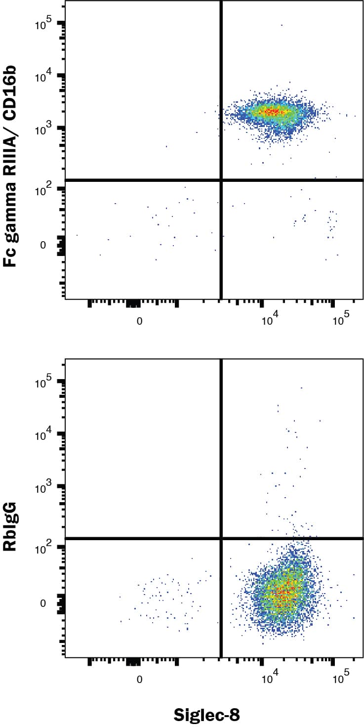 Human Fc gamma RIIIB/CD16b Antibody (MAB15971) by R&D Systems, Part of ...