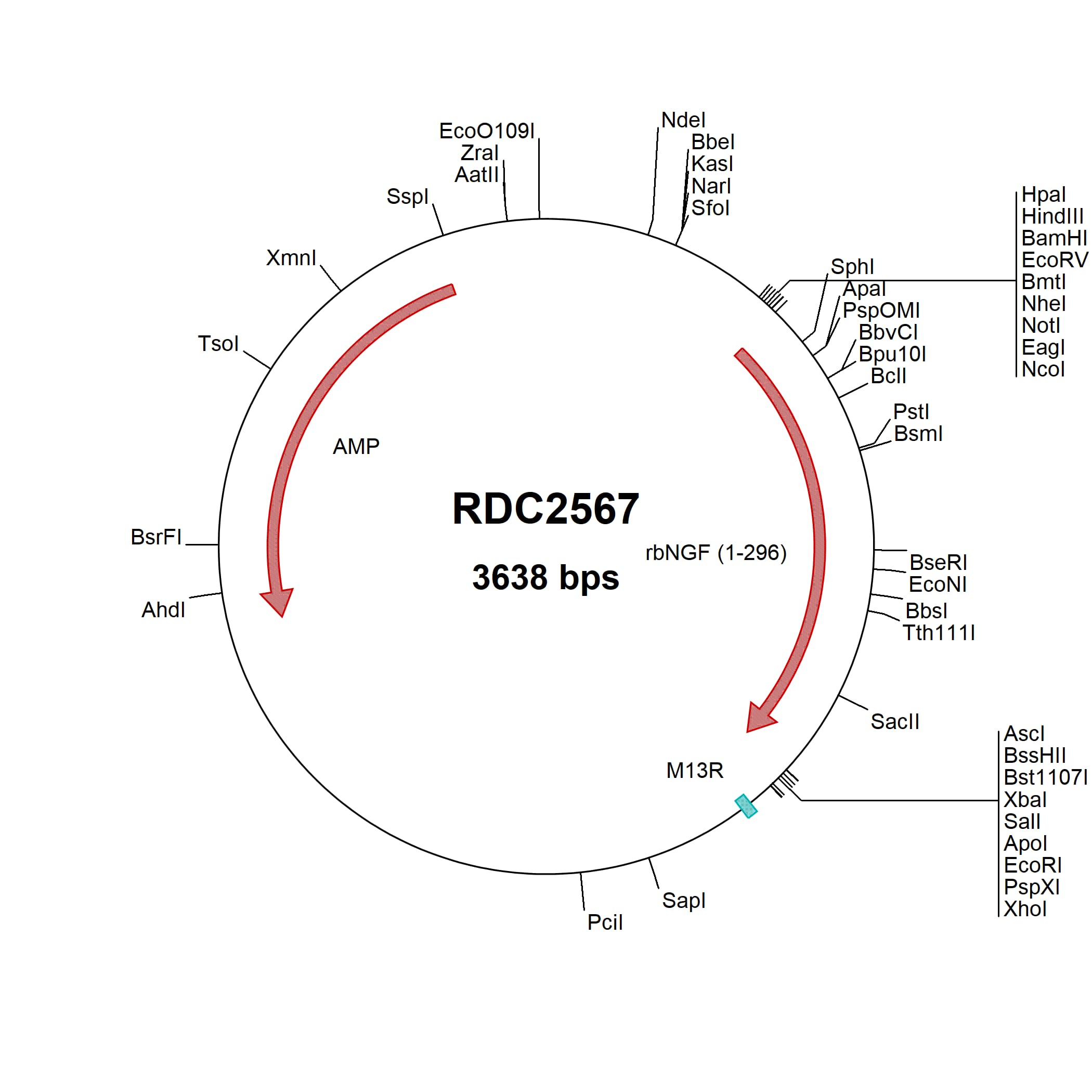 beta-NGF Products | Bio-Techne