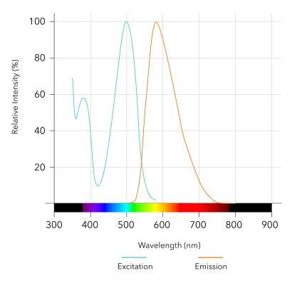 Mito-HE | Mitochondria Dyes and Probes | Bio-Techne