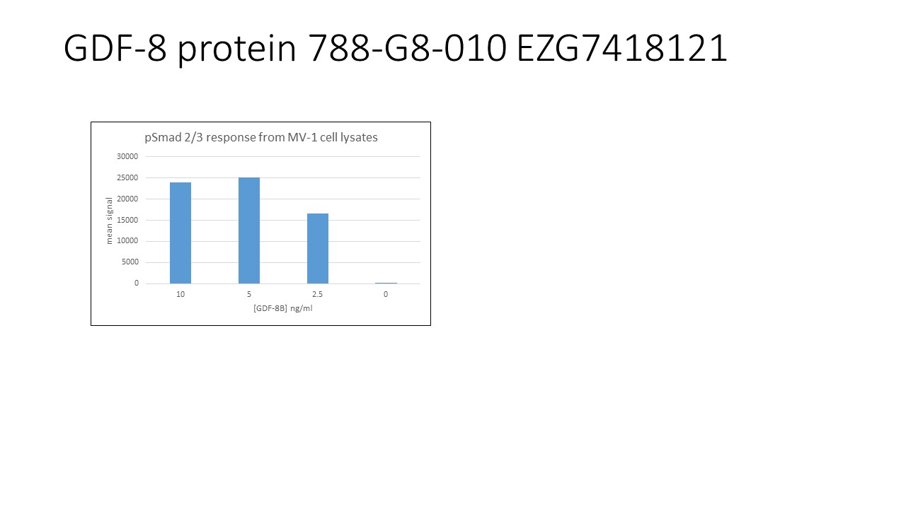 Recombinant Human/Mouse/Rat GDF-8/Myostatin Protein (788-G8) | Bio-Techne