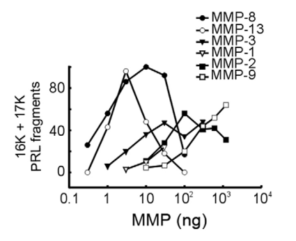 Recombinant Human MMP-9 Protein, CF (911-MP) | Bio-Techne