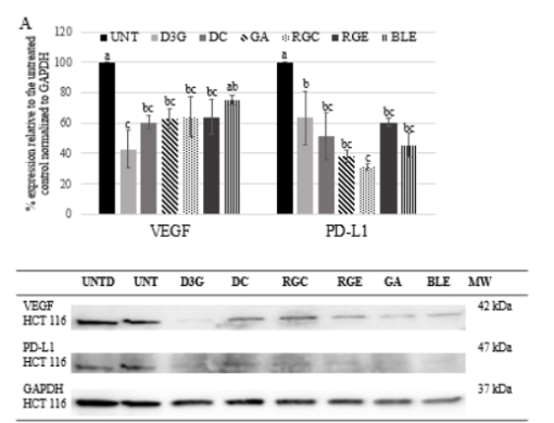 Mouse PD-L1/B7-H1 Antibody (AF1019) | Bio-Techne