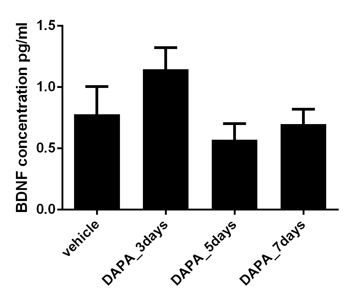 Total BDNF Quantikine ELISA Kit (DBNT00) | Bio-Techne