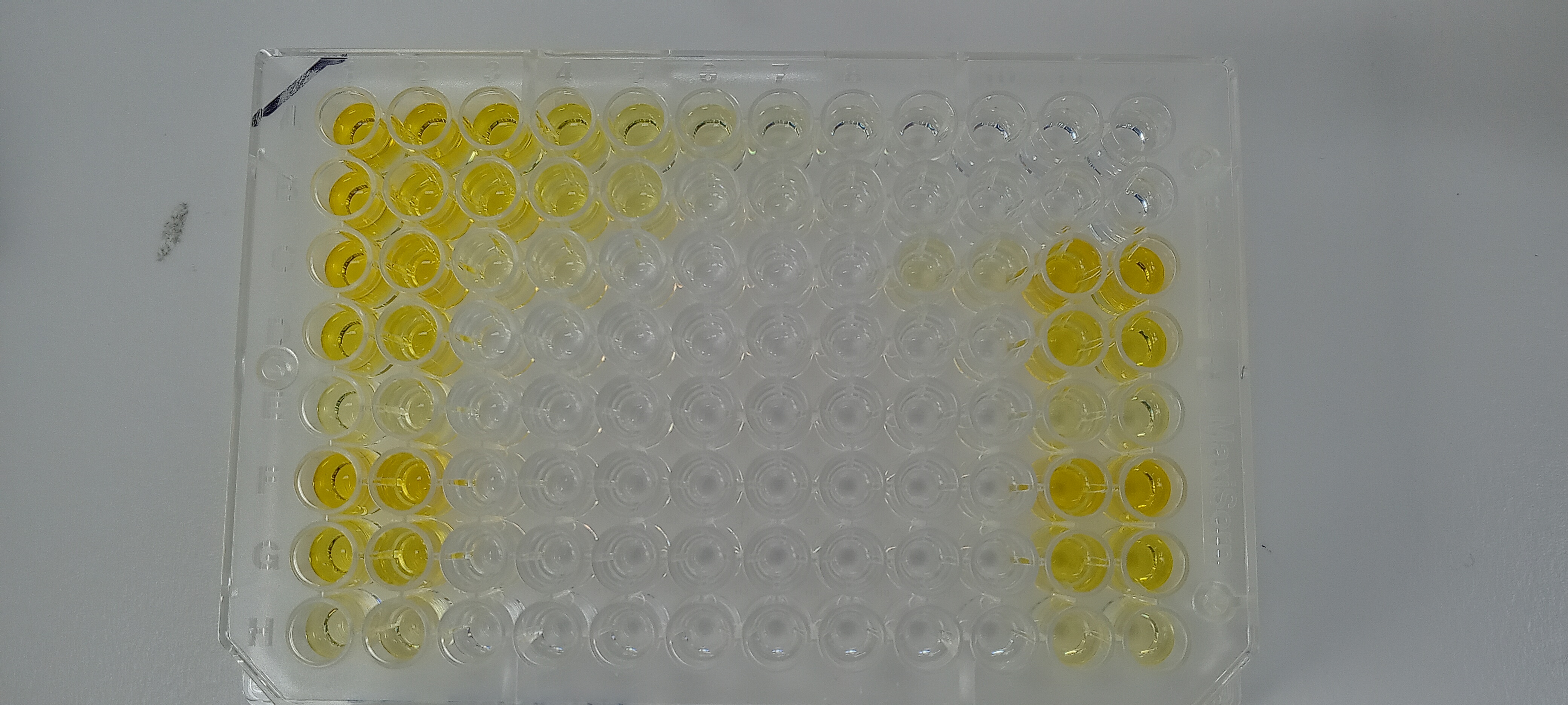 Human CD14 Quantikine ELISA Kit (DC140) | Bio-Techne