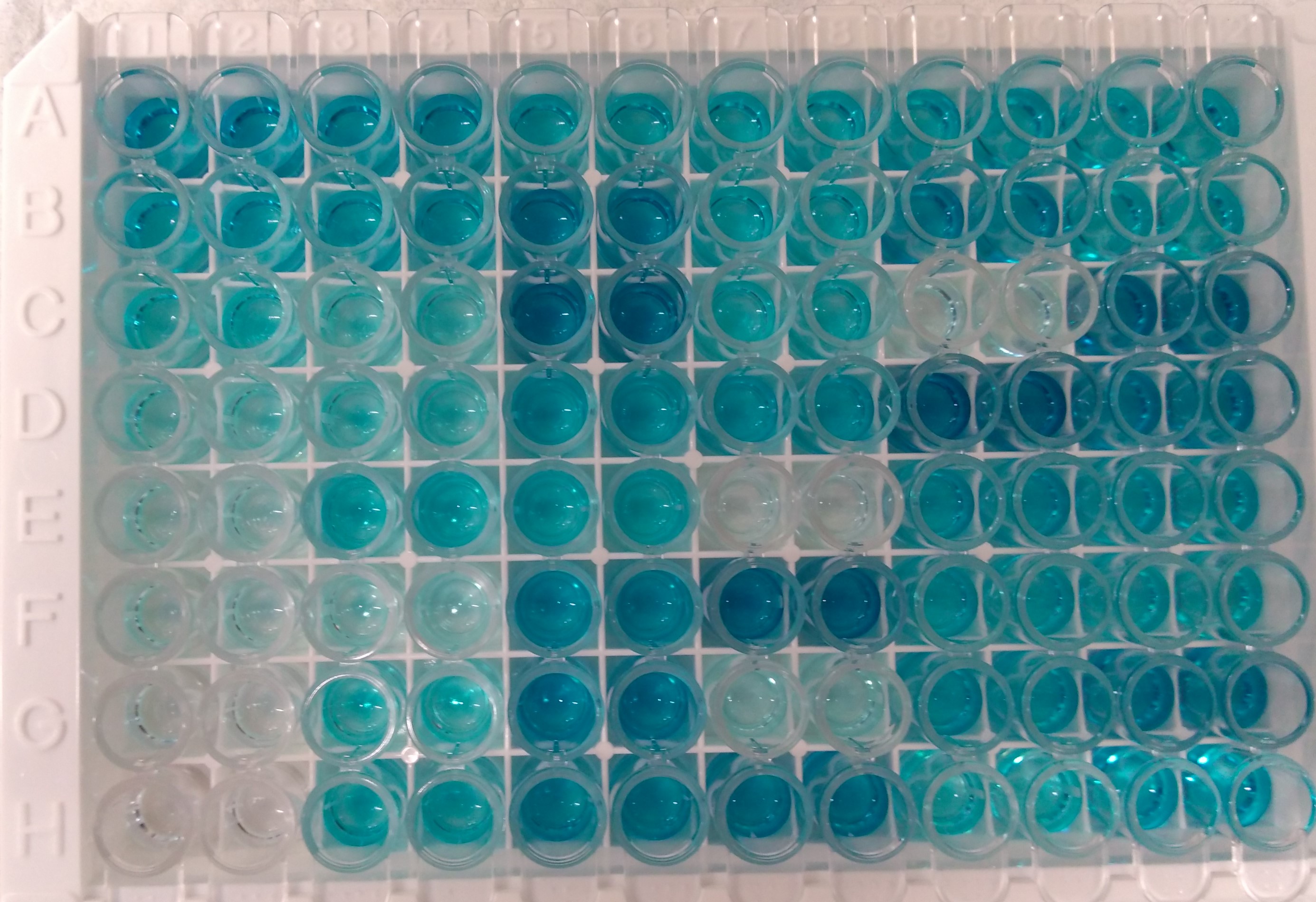 Endothelin-1 Quantikine ELISA Kit (DET100) | Bio-Techne