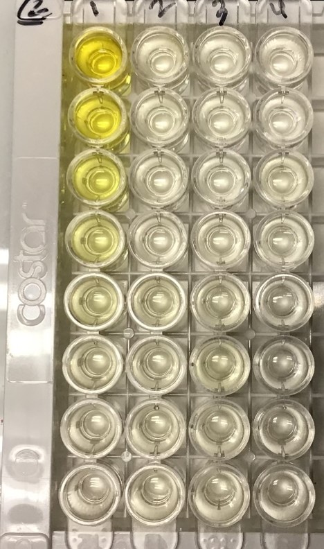 Endothelin-1 Quantikine ELISA Kit (DET100) | Bio-Techne