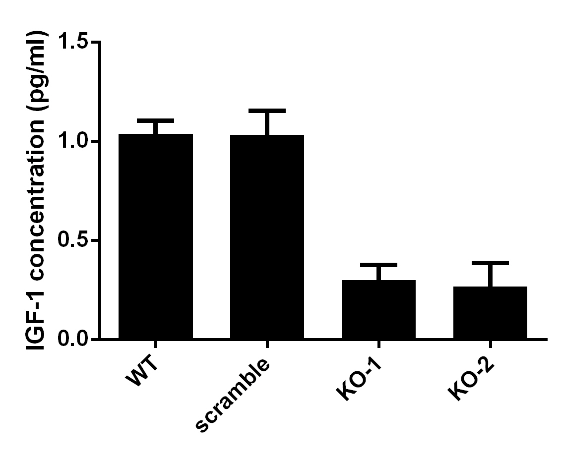 Human IGF-I/IGF-1 Quantikine ELISA Kit (DG100B) | Bio-Techne