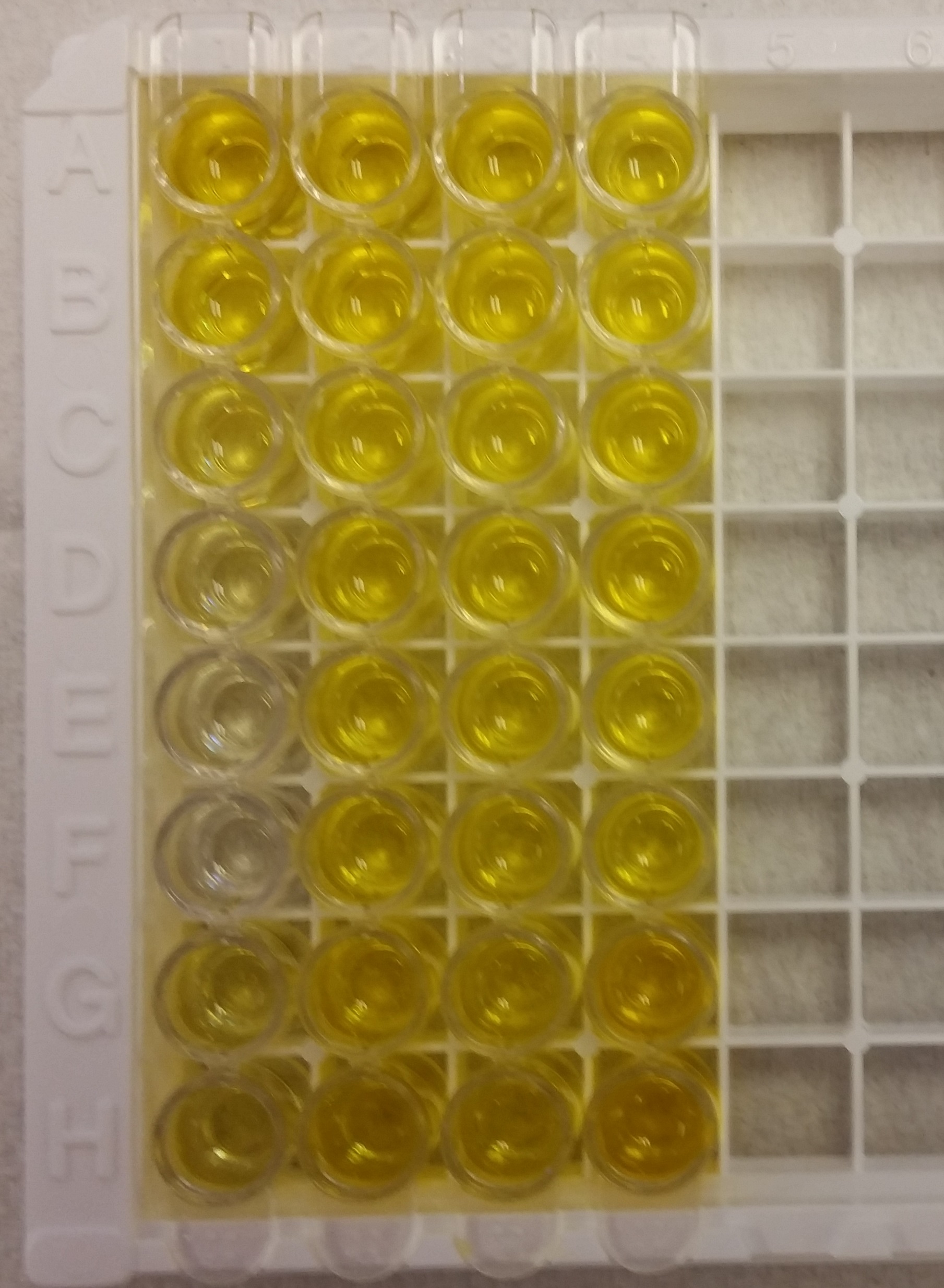 GDF-8/Myostatin Quantikine ELISA Kit (DGDF80) | Bio-Techne