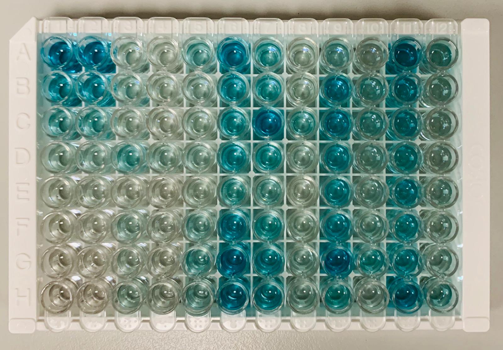 GDF-8/Myostatin Quantikine ELISA Kit (DGDF80) | Bio-Techne