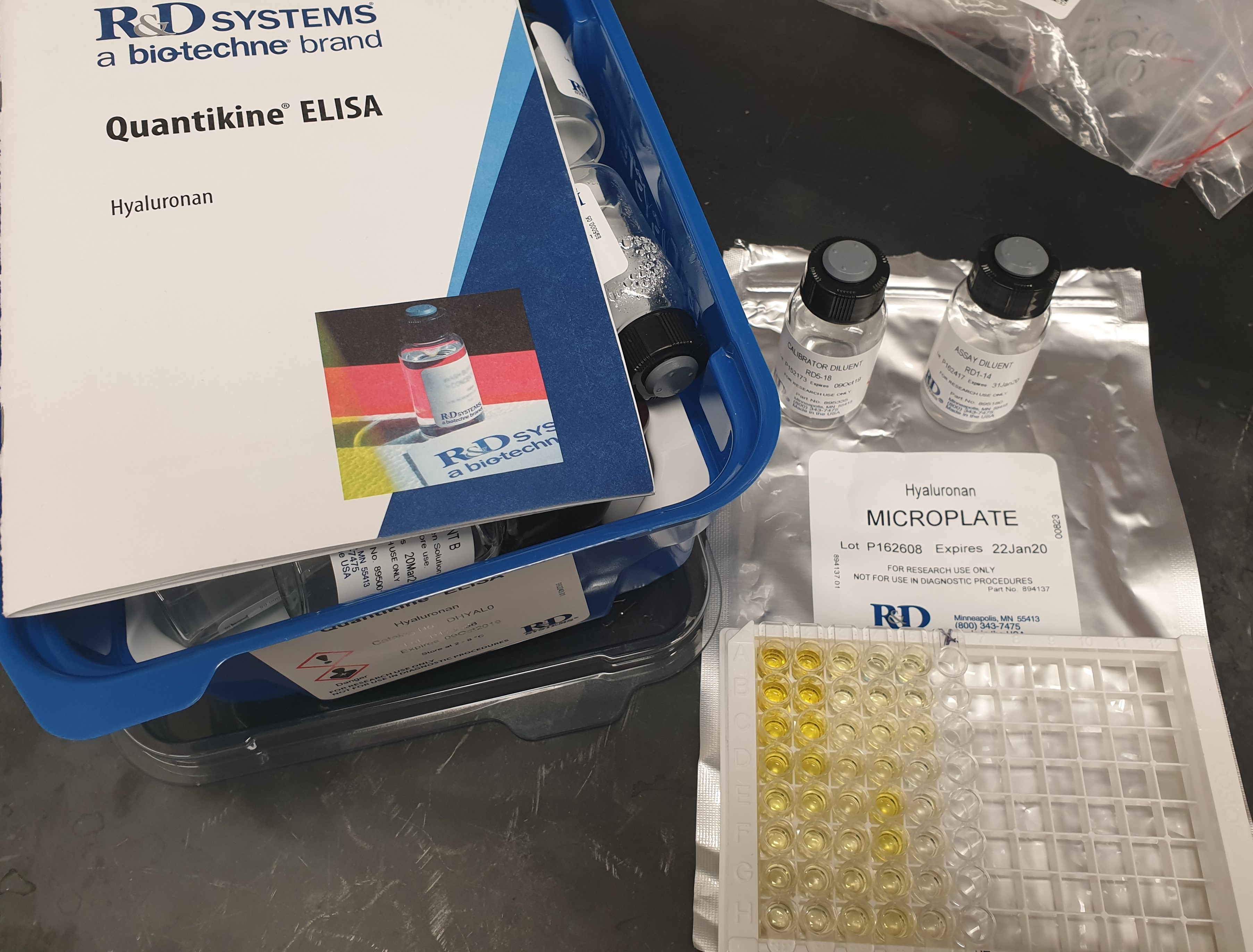 Hyaluronan Quantikine ELISA Kit (DHYAL0) | Bio-Techne