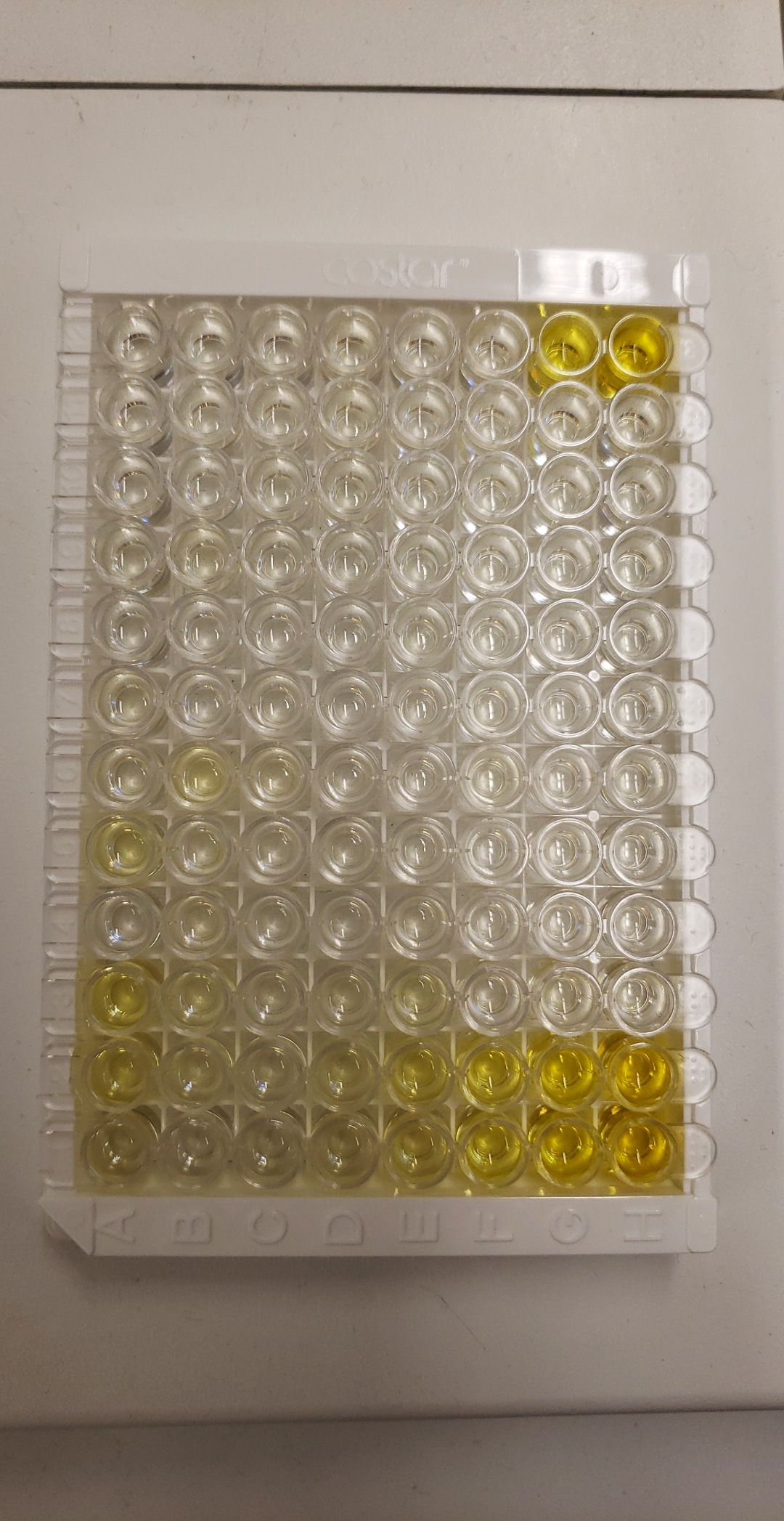 Human IFN-gamma ELISA Kit - Quantikine DIF50C | Bio-Techne