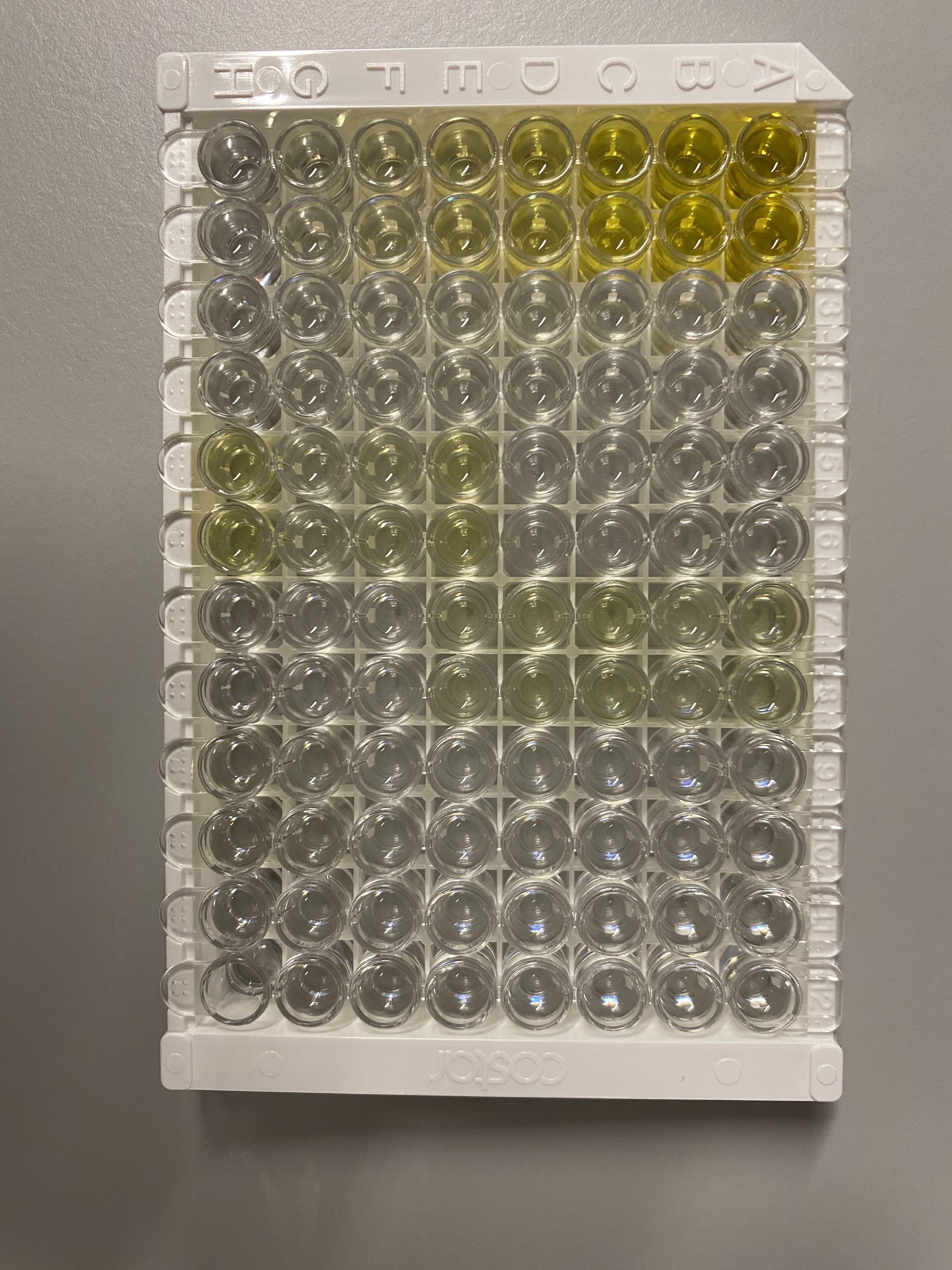 Human IFN-gamma ELISA Kit - Quantikine DIF50C | Bio-Techne